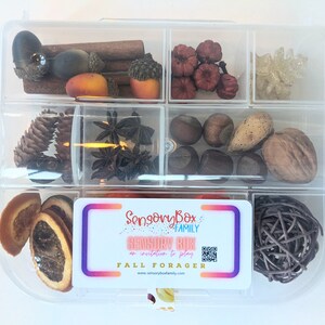 Fall Forager Autumn Themed Sensory Box Loose Parts Play Tinker Tray ...