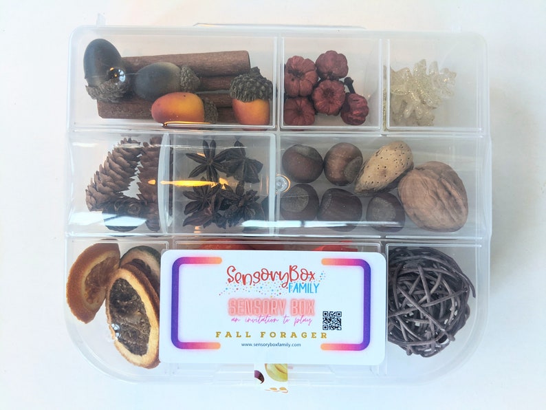 Fall Forager Autumn Themed Sensory Box Loose Parts Play Tinker - Etsy