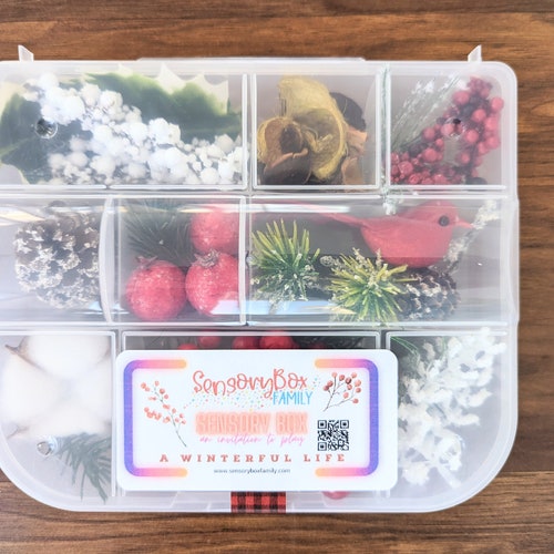 Fall Forager Autumn Themed Sensory Box Loose Parts Play Tinker - Etsy