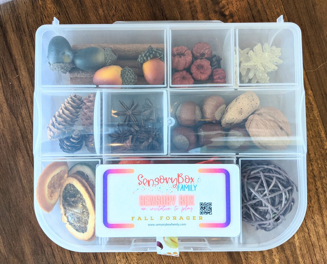 Fall Forager Autumn Themed Sensory Box Loose Parts Play Tinker Tray ...