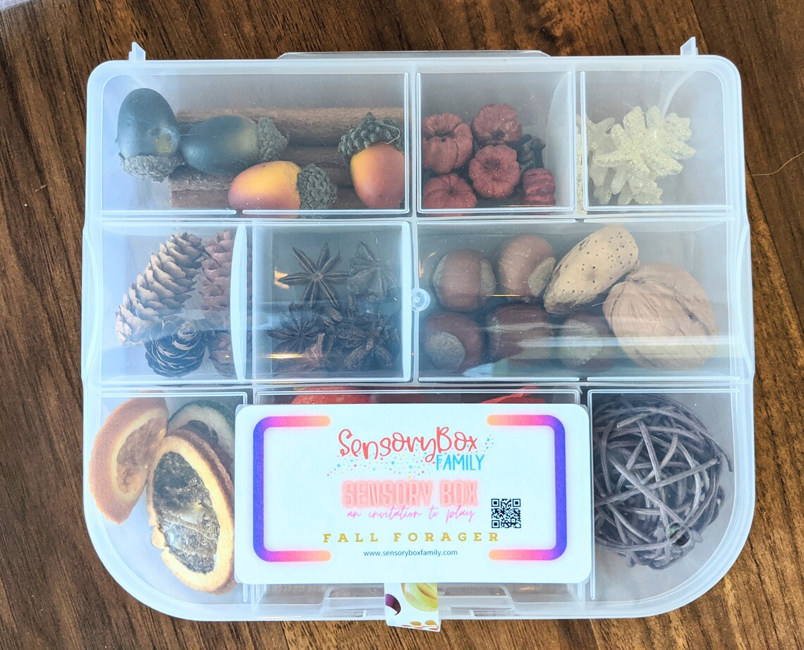 Fall Forager Autumn Themed Sensory Box Loose Parts Play Tinker - Etsy