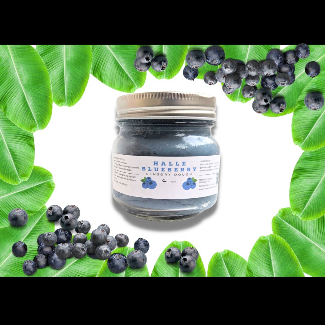 Blueberry Scented Sensory Dough Play Dough Sensory Box Loose - Etsy