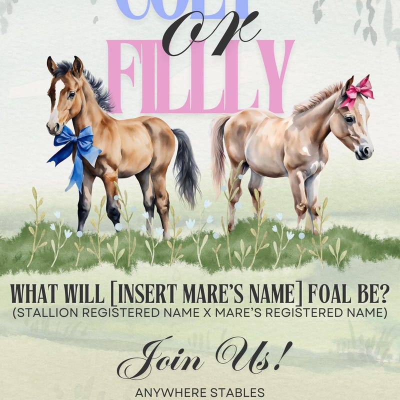 Horse Gender Reveal - Etsy