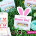 Easter Bunny Bait Card - Printable Easter Bunny Bait Card - Bunny Food ...