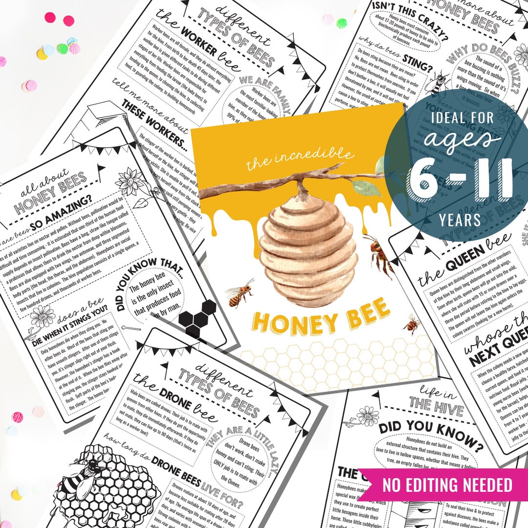 Kids Honey Bee Activity Sheets Bee Activity Sheet Kids Learn About Bees ...