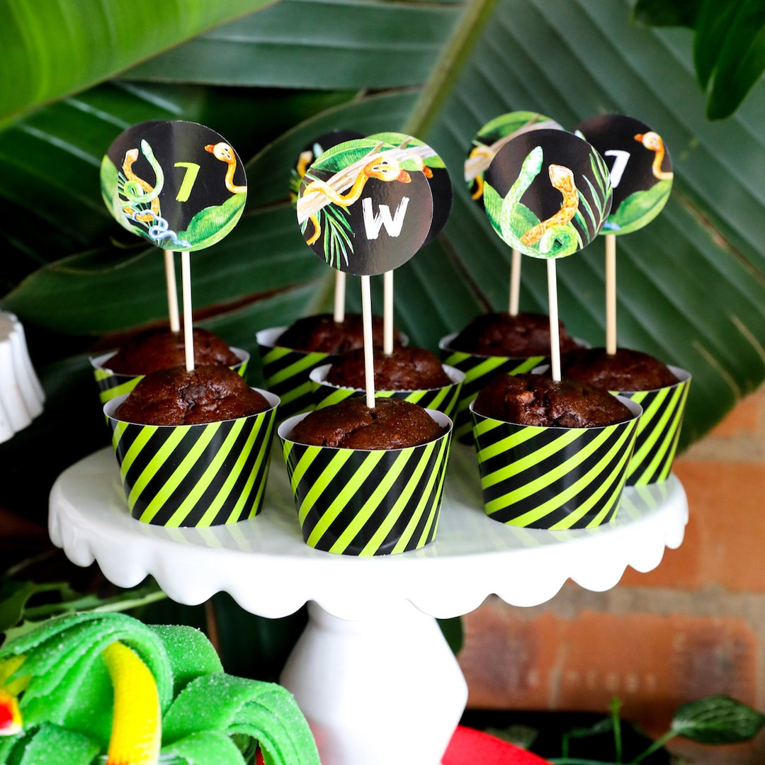 Boy Birthday Party Snake Cupcake Toppers Decor Snake Cupcake Wrappers ...