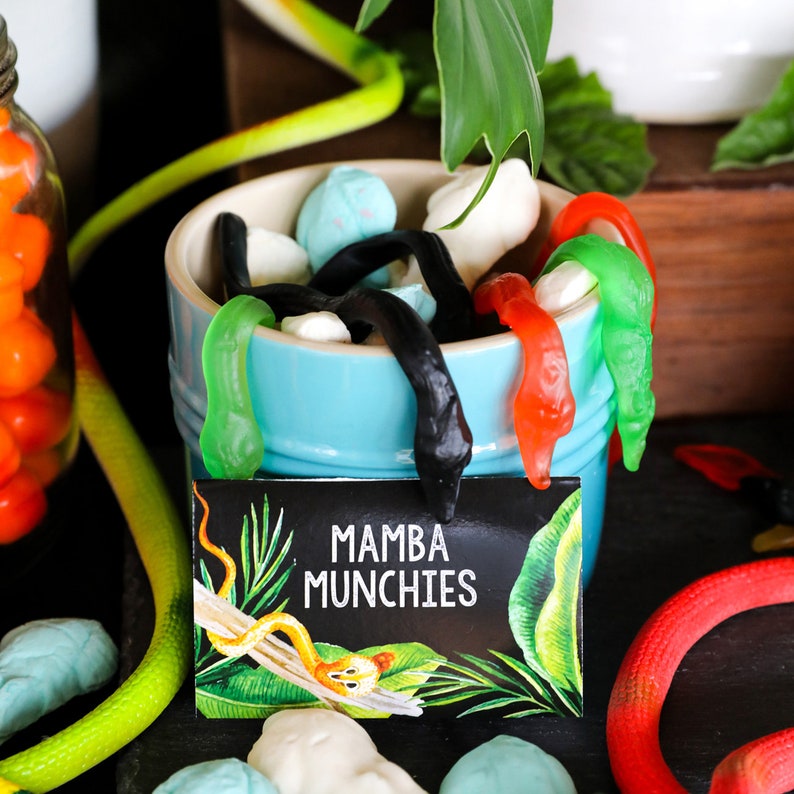 Snake Party Food Labels Snake Party Tent Cards Reptile - Etsy