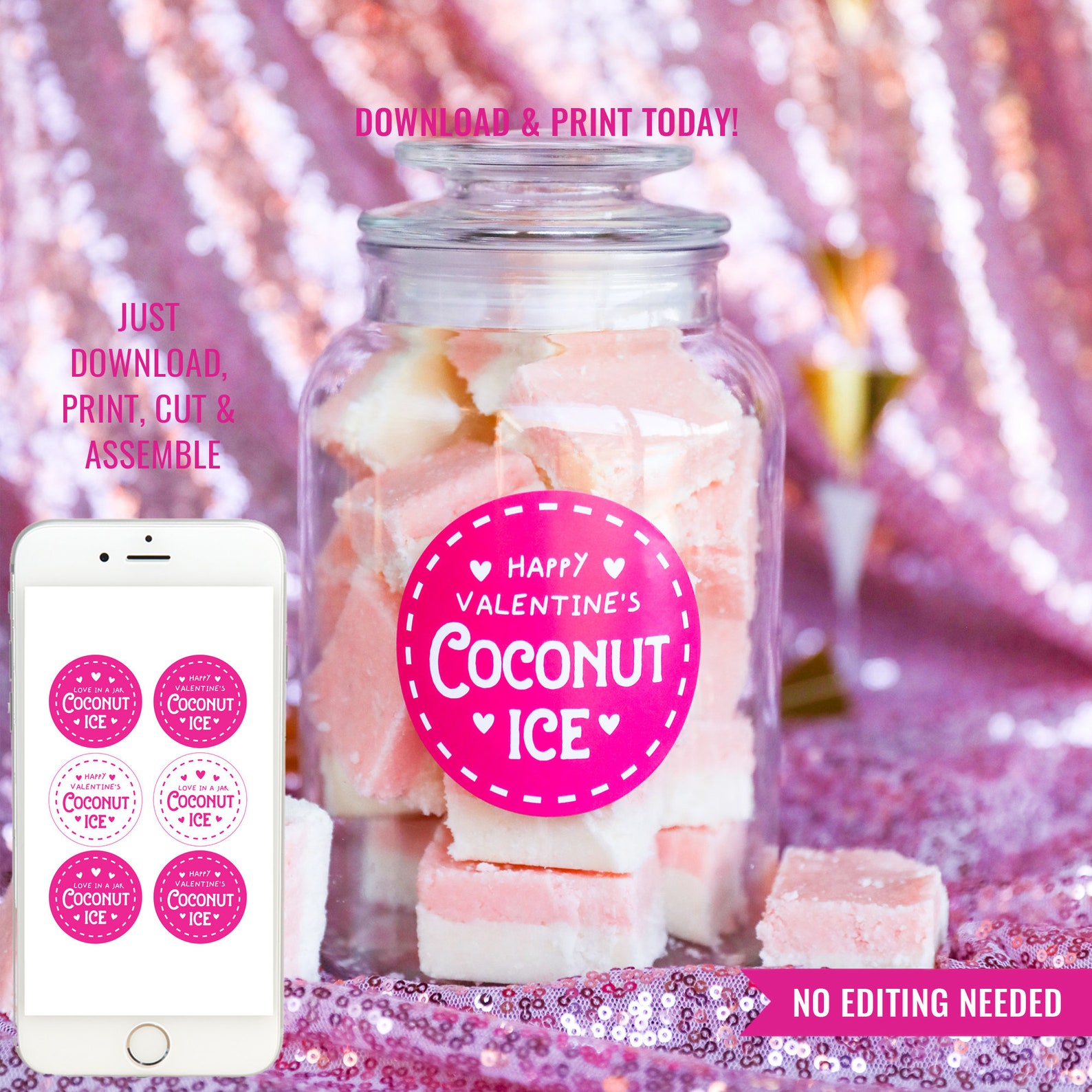 Valentine's Day Gift Tags and Stickers - Valentine's Day Coconut Ice ...