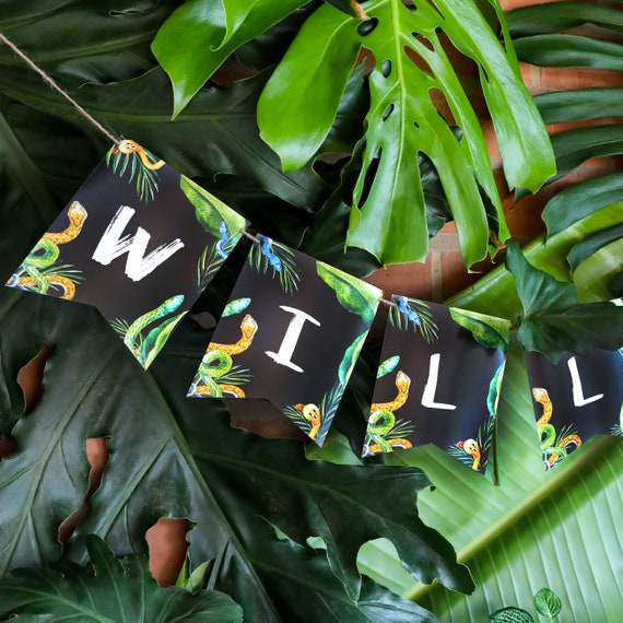 Snake Party Printable Decorations - Snake Party Birthday Banner ...