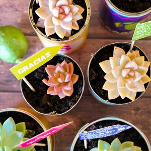 Mexican Fiesta Tin Can Wrappers Mexican Fiesta Party Favor - Etsy