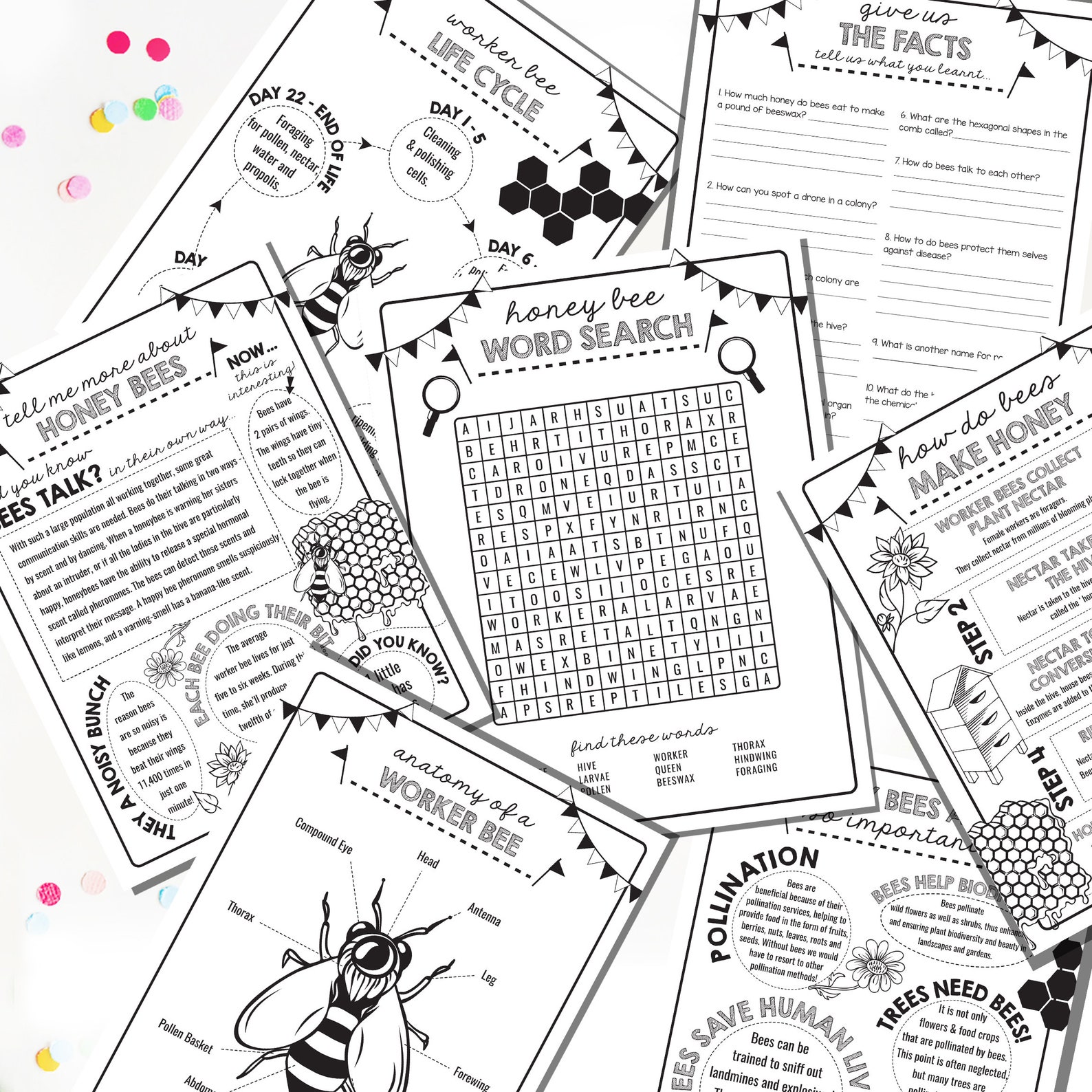 Kids Honey Bee Activity Sheets Bee Activity Sheet Kids - Etsy