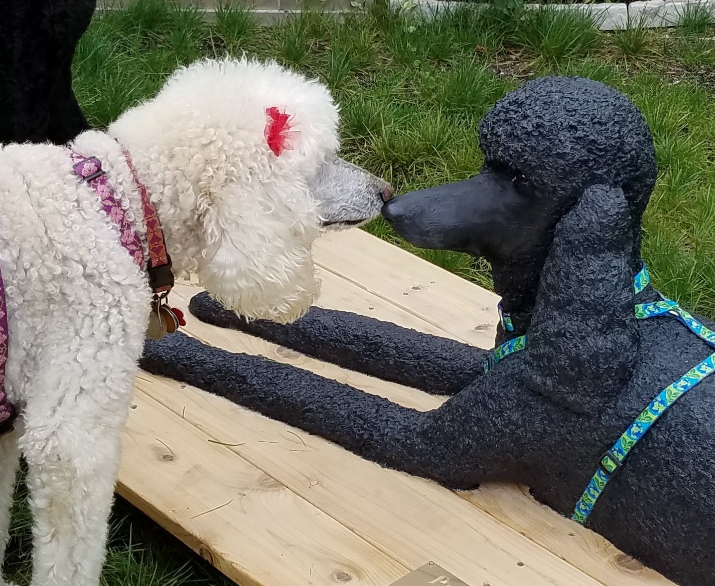Life Size Dog Statues - Etsy
