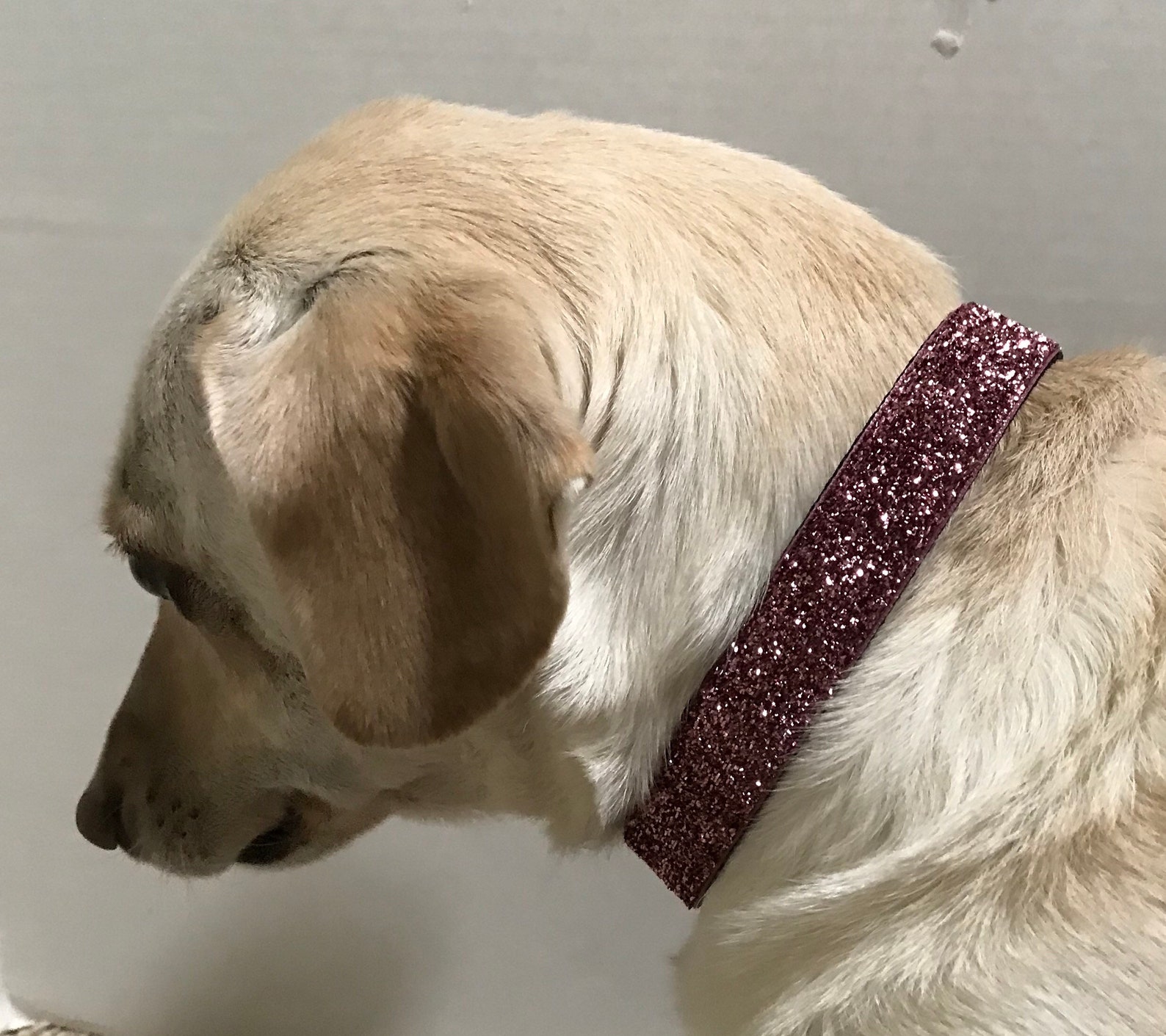 Glitter Dog Collar Adjustable Dog Collar Sparkly Dog - Etsy