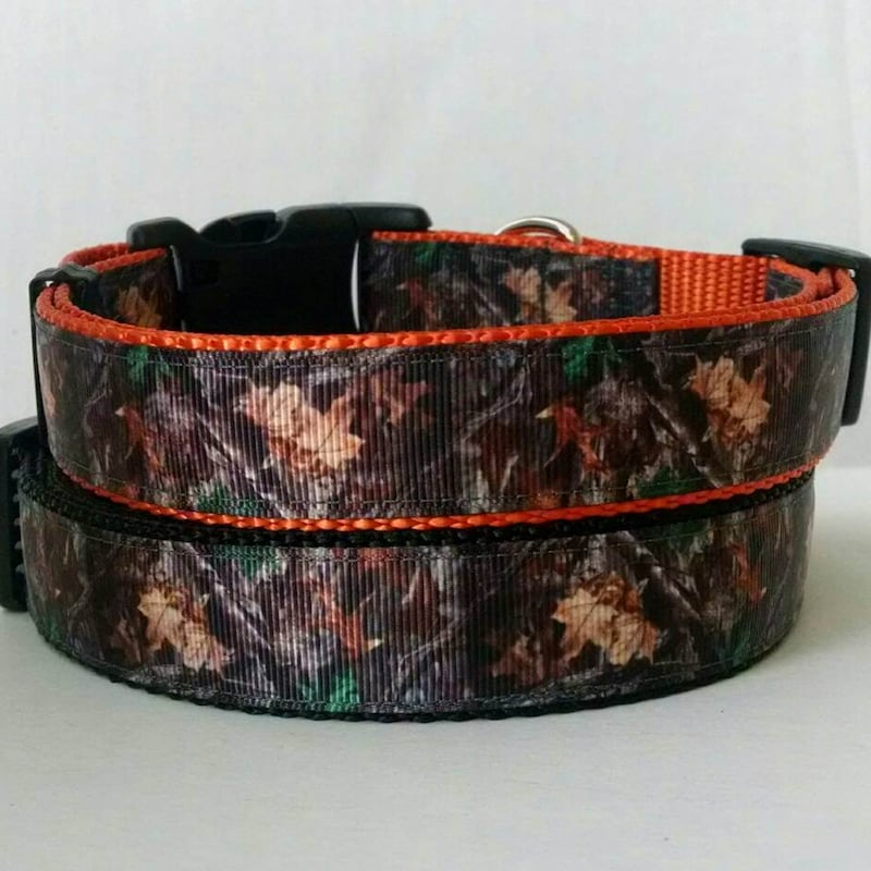 Hunting Dog Collars - Etsy