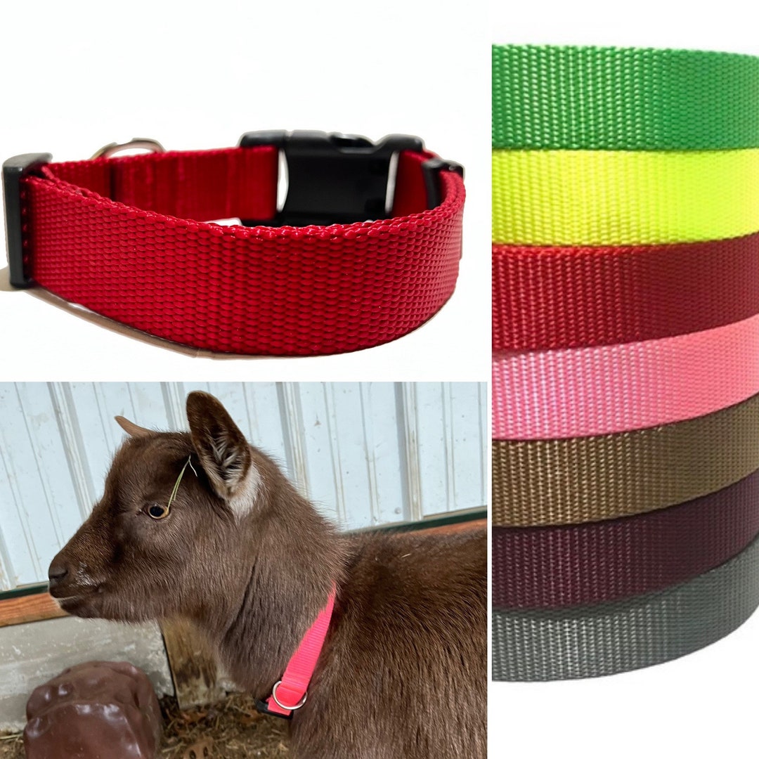 Nylon Collar - Goat Collar - Dog Collar - Etsy