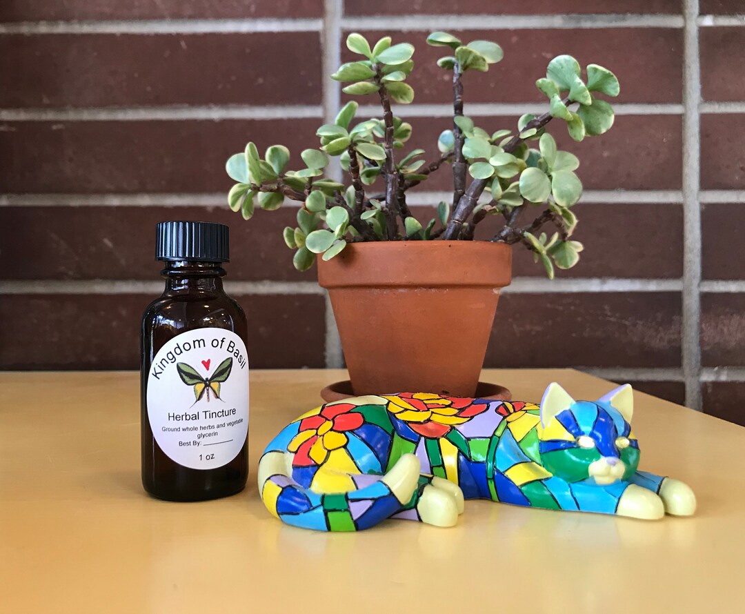 Modified Hoxsey With Boneset Tincture - Etsy