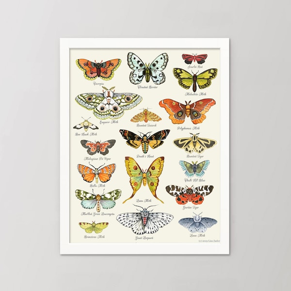 Moth Print - Etsy