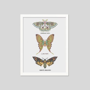 Moth Chart Print Moth Art Moth Poster Insect Art - Etsy UK