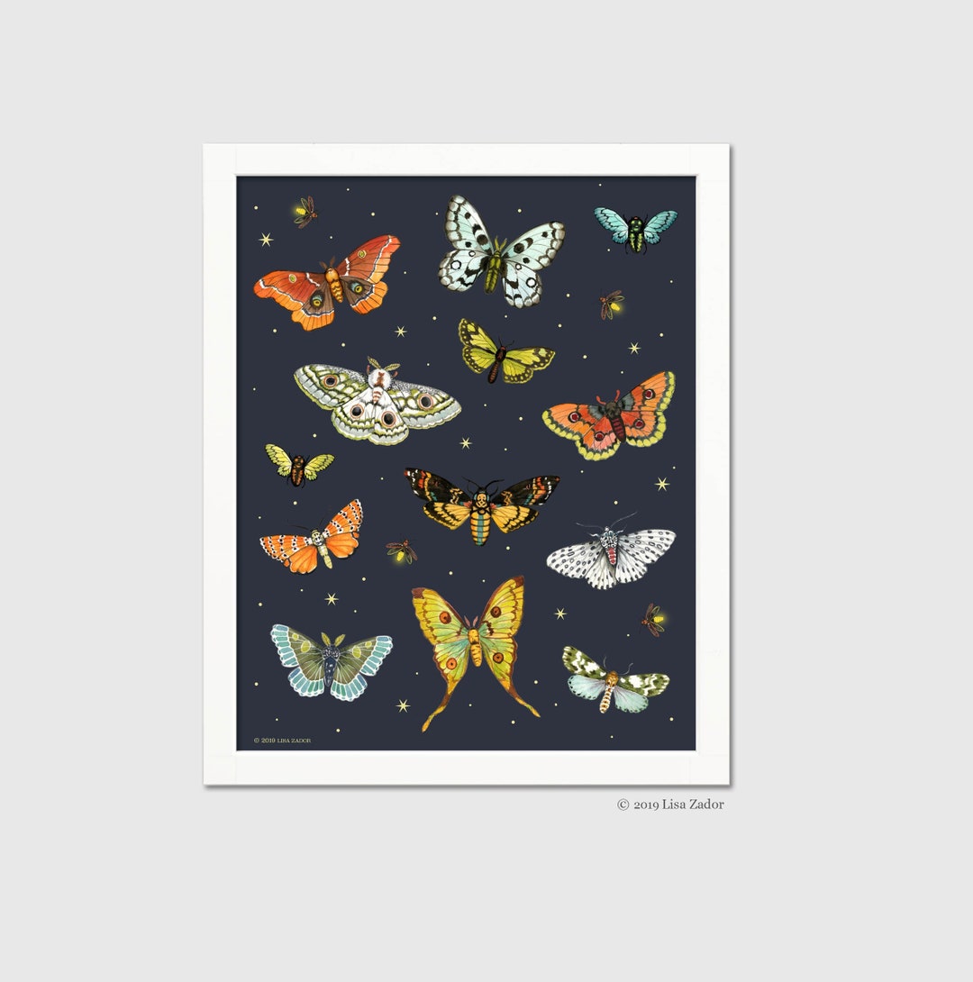 Summer Moth Print From Original Artwork - Moths in Night Sky With ...