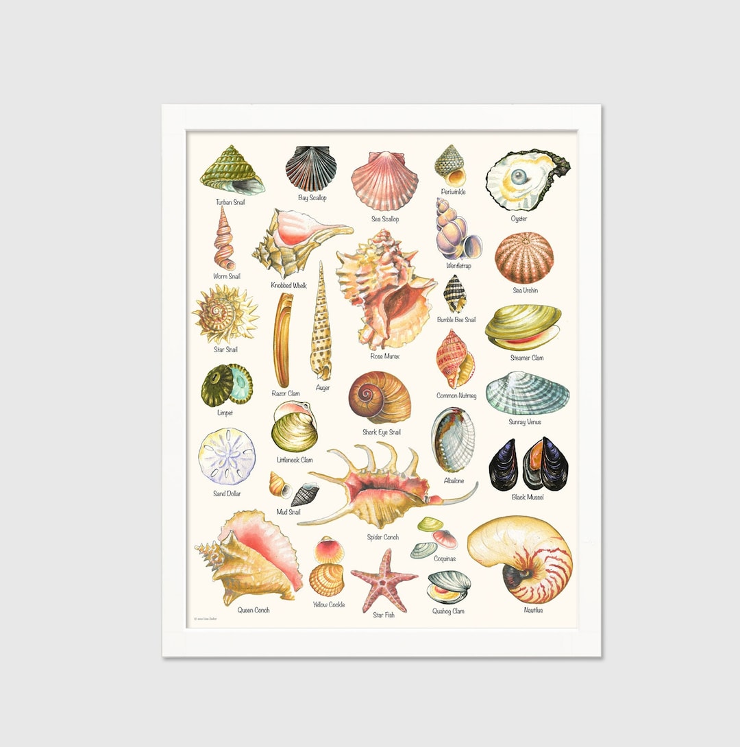 Seashell Beach House Print From Original Hand Painted Artwork With ...