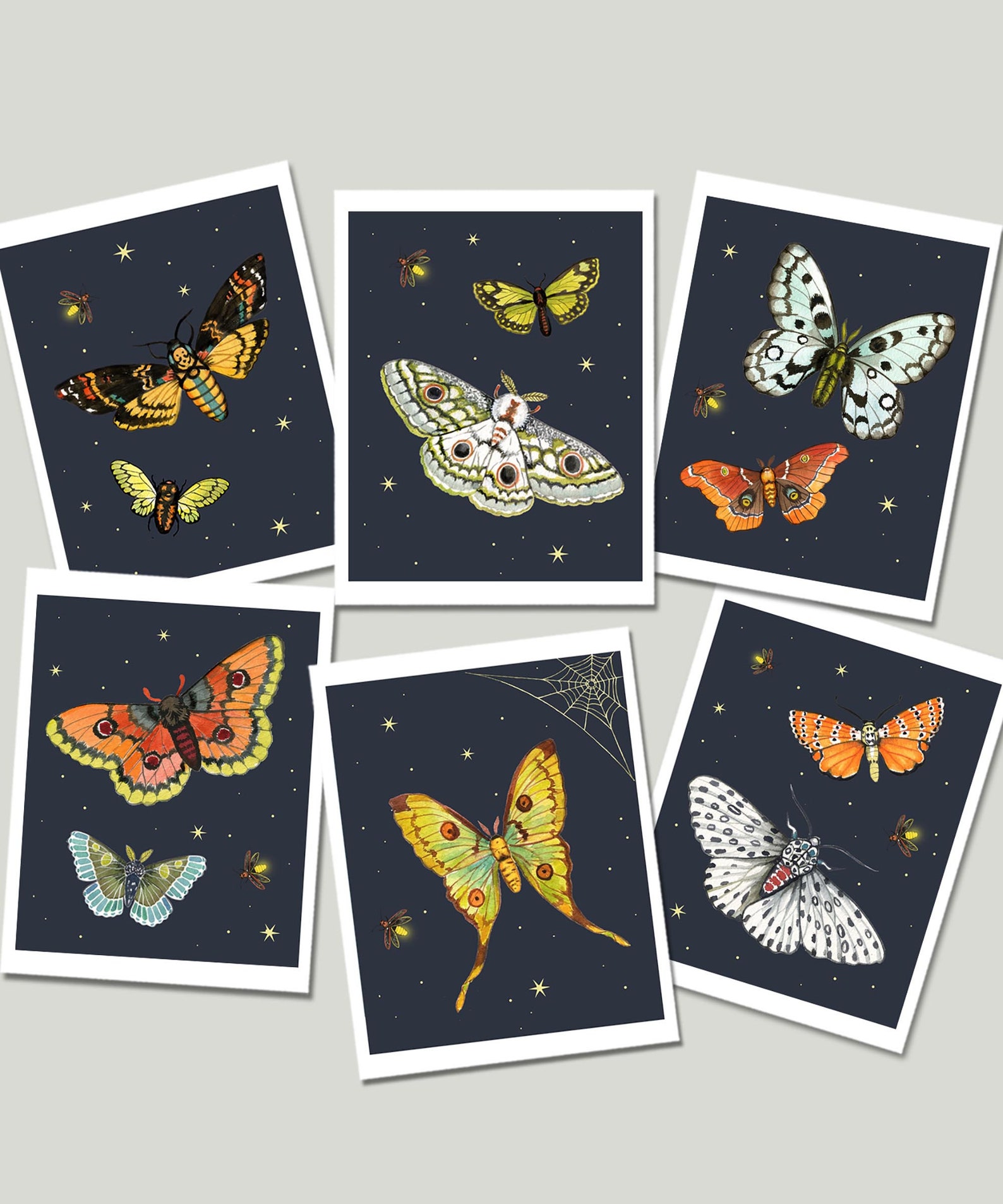 Moth Chart Print Moth Art Moth Poster Insect Art | Etsy