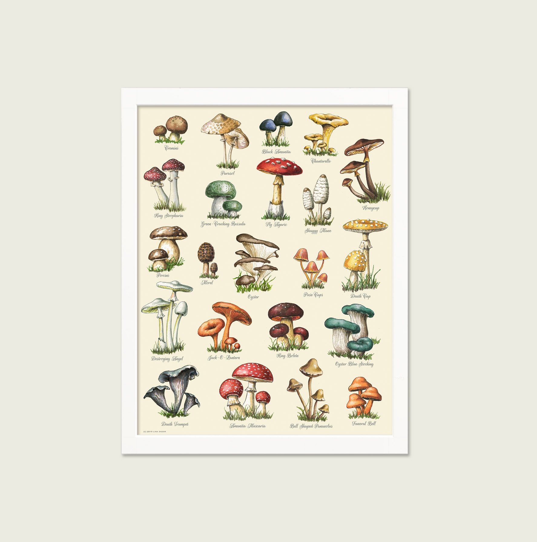 Mushroom Print 18 Different Styles Food Print Mushroom | Etsy