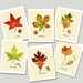 Autumn Leaves Cross-stitch Pattern Counted Cross-stitch - Etsy