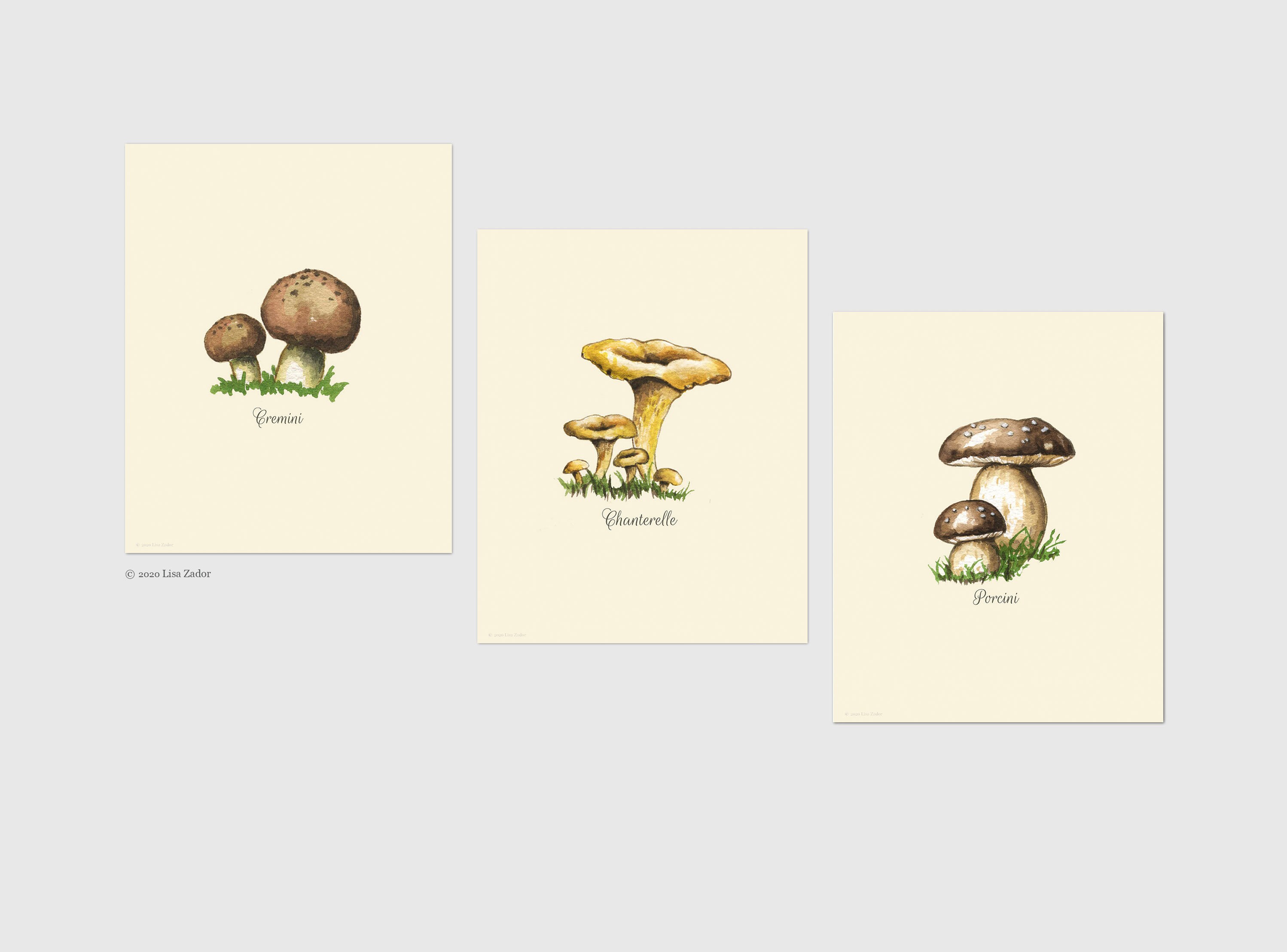 Mushroom Print 18 Different Styles Food Print Mushroom | Etsy