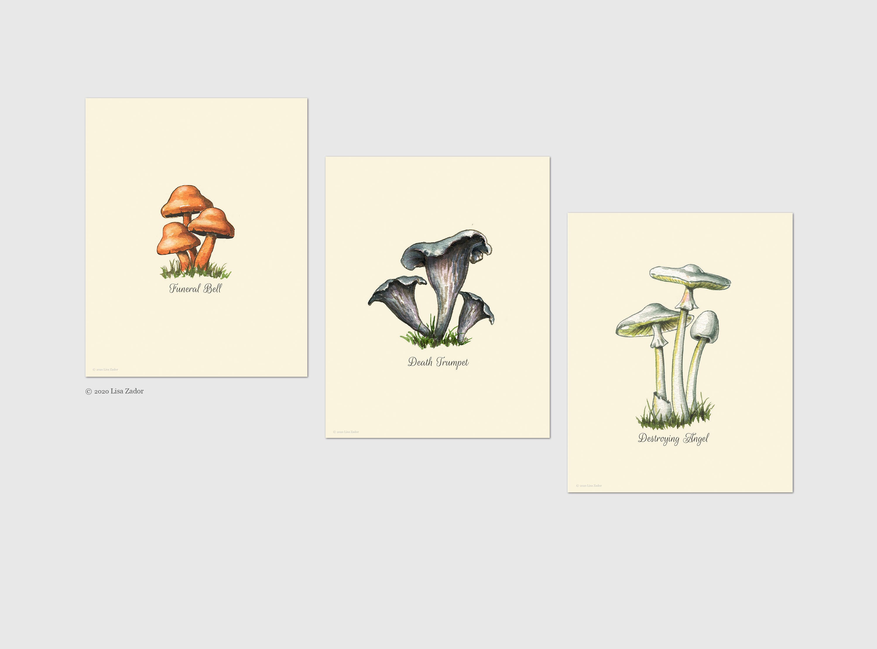 Mushroom Print 18 Different Styles Food Print Mushroom | Etsy