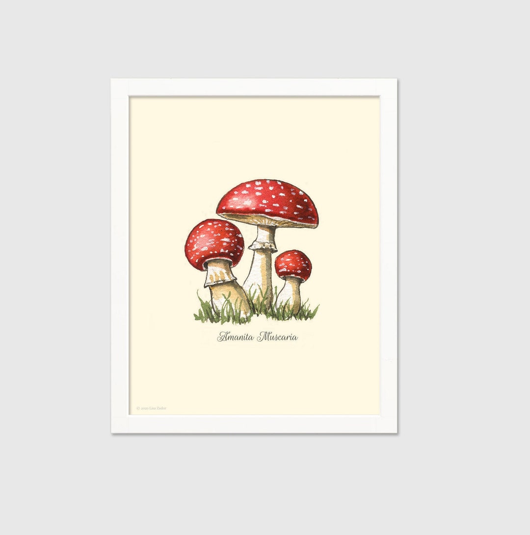Mushroom Print - 18 Different Styles - Food Print - Mushroom Chart ...