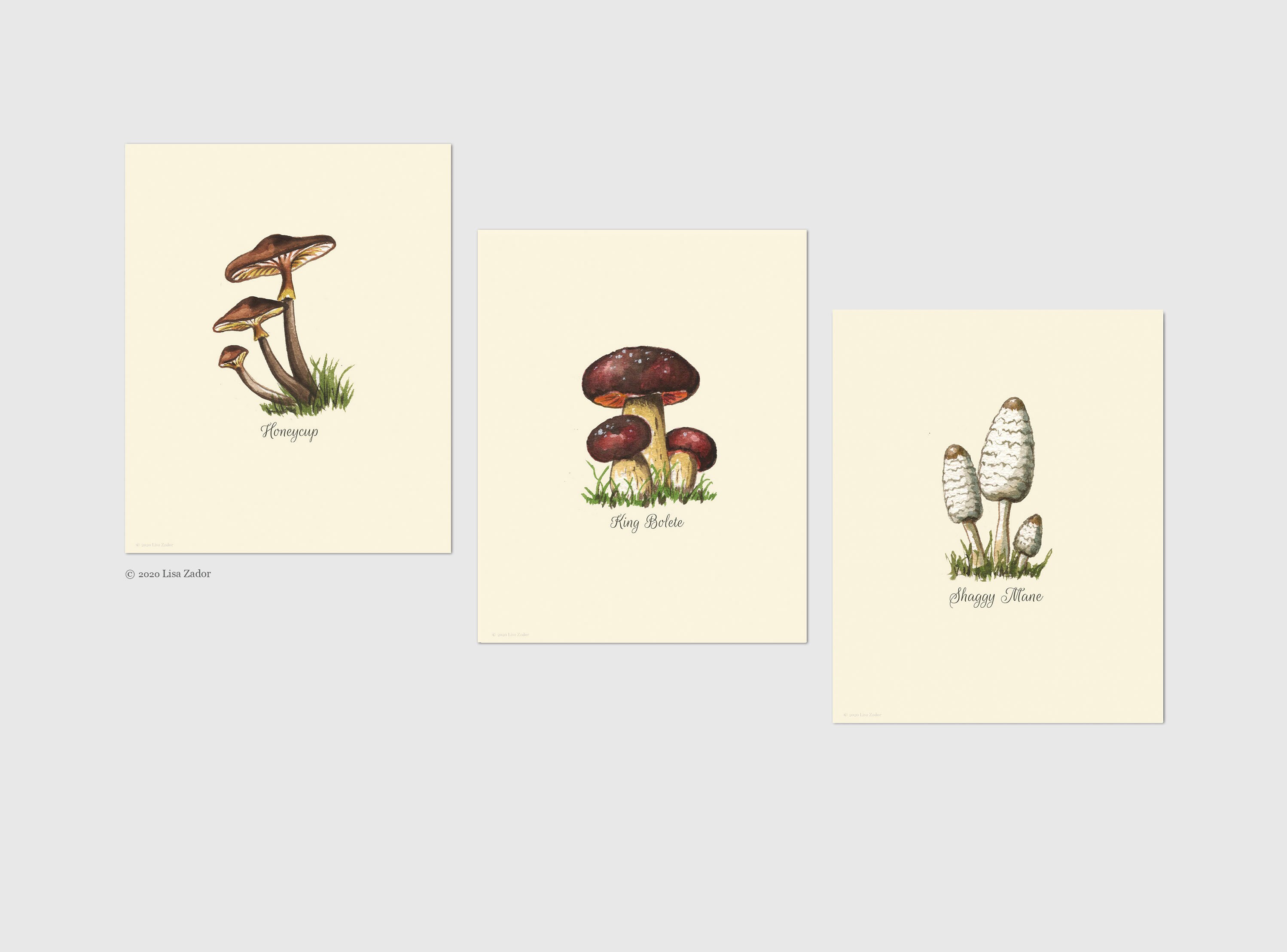 Mushroom Print 18 Different Styles Food Print Mushroom | Etsy