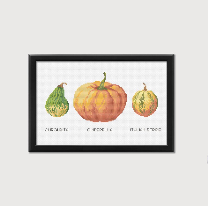 Pumpkin Cards Pumpkin Notecards Autumn Cards Thanksgiving - Etsy