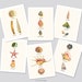 Seashell Cards Set of 6 Sea Shell Notecards Shell Art Cards - Etsy