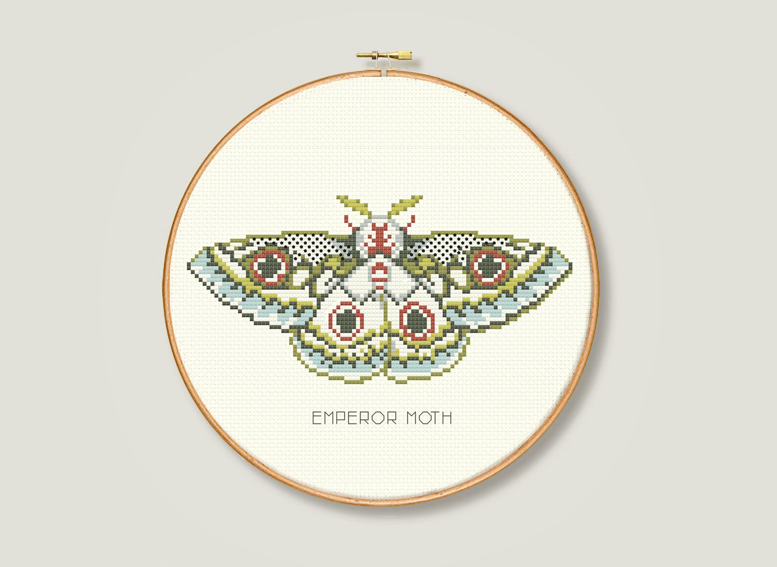 Moth Chart Print Moth Art Moth Poster Insect Art - Etsy UK