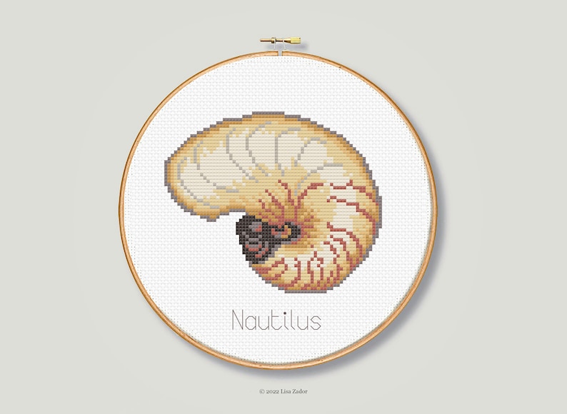 Sea Scallop Counted Cross-stitch Seashell Needlepoint - Etsy