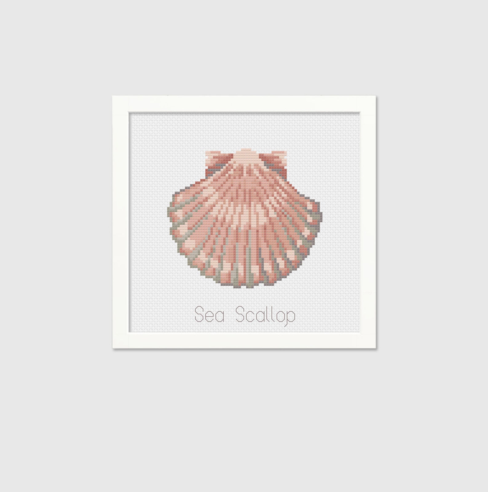 Sea Scallop - Counted Cross-stitch - Seashell Needlepoint Pattern ...