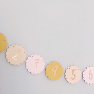 12 Month Photo Banner, Boho Rainbow Party, First Birthday Banner, Photo ...