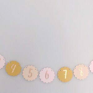 12 Month Photo Banner, Boho Rainbow Party, First Birthday Banner, Photo ...