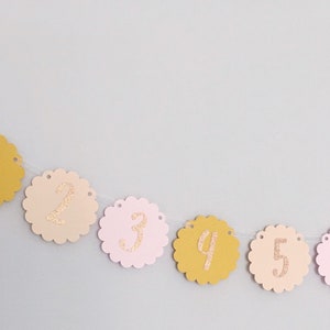 12 Month Photo Banner, Boho Rainbow Party, First Birthday Banner, Photo ...