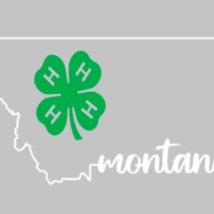 4-H Sticker Decal - Etsy