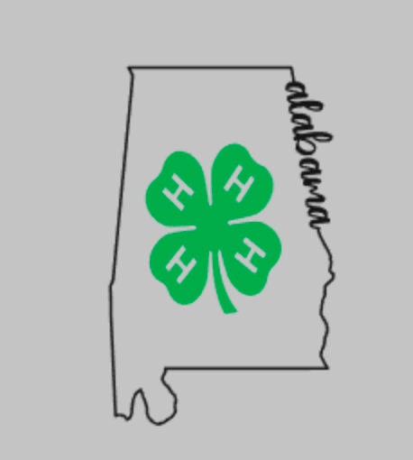 4-H Sticker Decal - Etsy