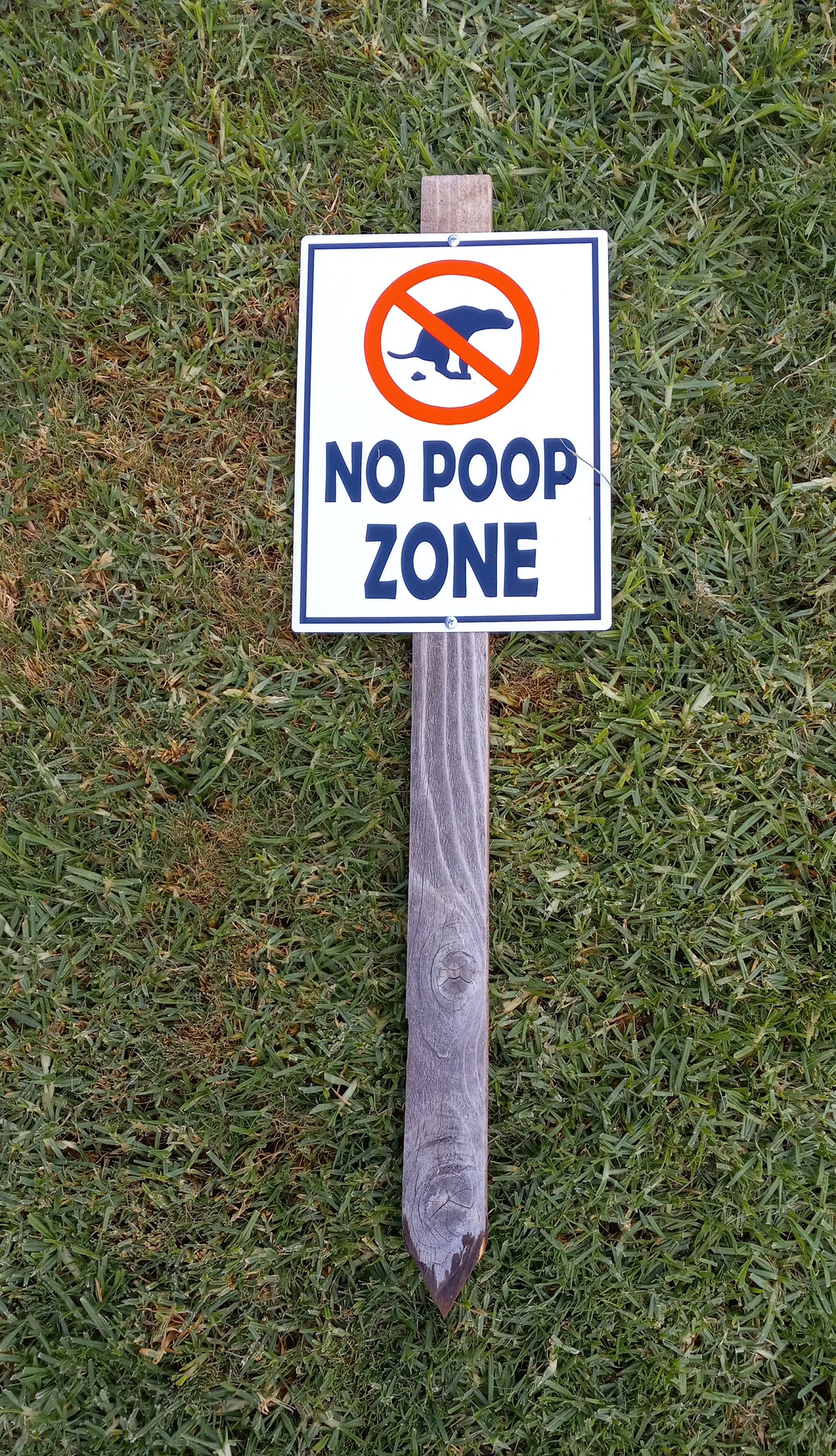 No Dog Pooping Zone Metal Yard Sign Reclaimed Wood Frame FREE | Etsy