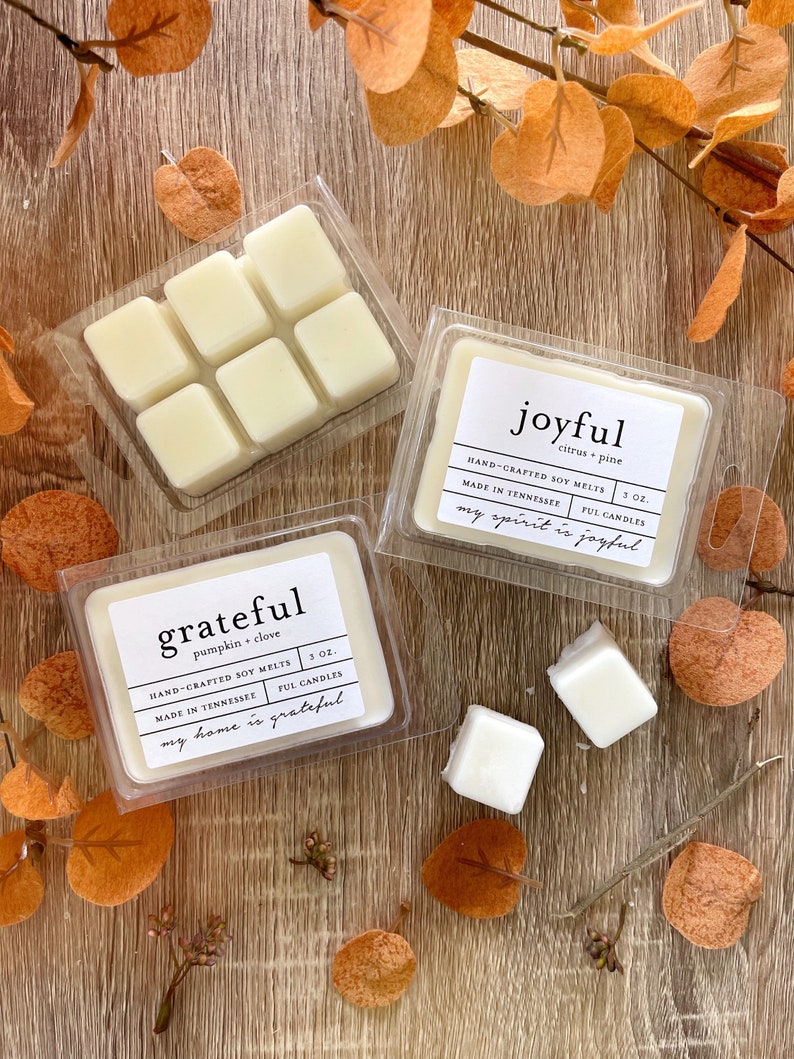 3 Oz Hand Poured Eco-friendly Soy Wax Melts Tarts Cubes - Etsy