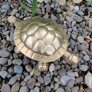 Brass Turtle Box, Hinged Trinket Box / Jewelry Box / Gold Metal ...