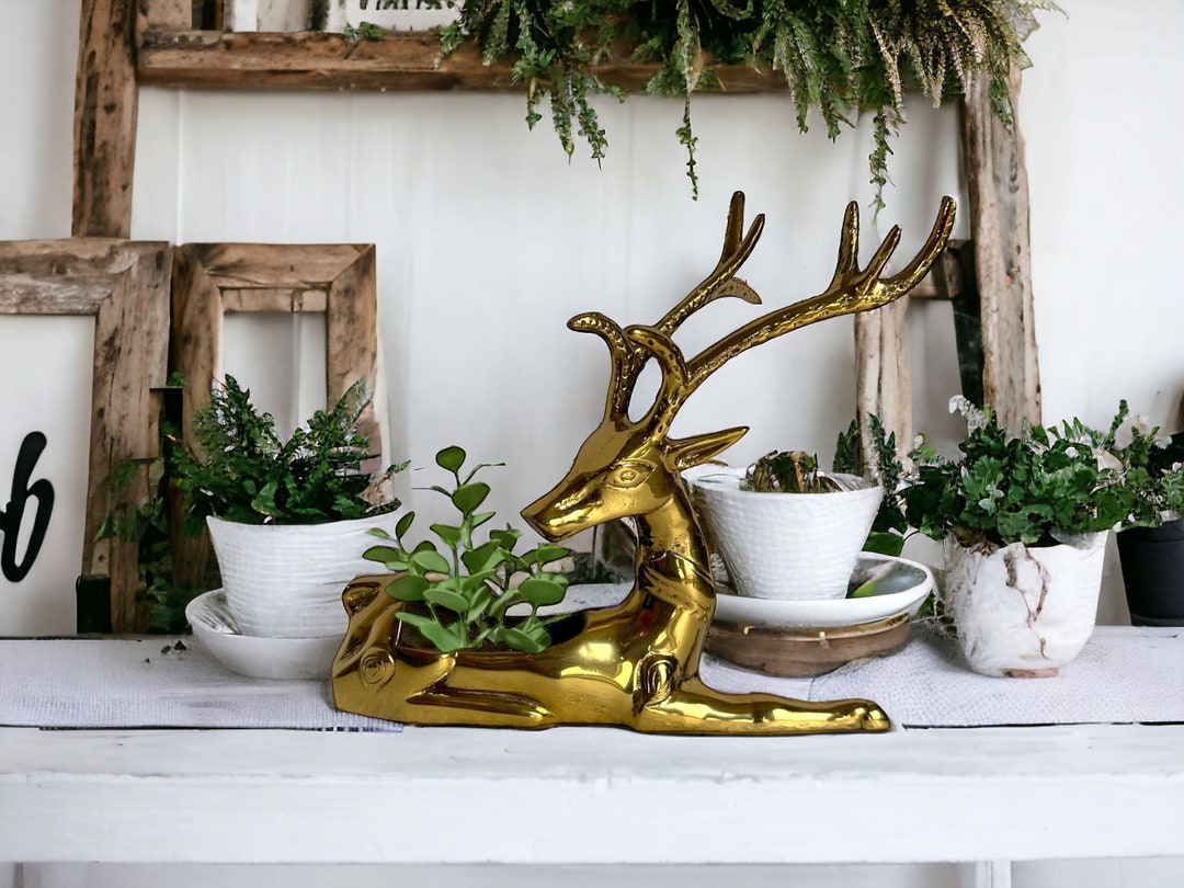 Vintage Brass Stag Planter / Deer Plant Holder / Succulent Pot/ Gift ...