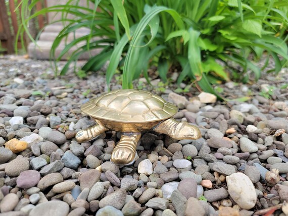 Brass Turtle Box Hinged Trinket Box / Jewelry Box / Gold | Etsy
