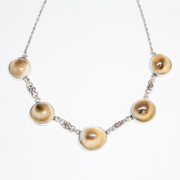 Operculum Shell - Etsy