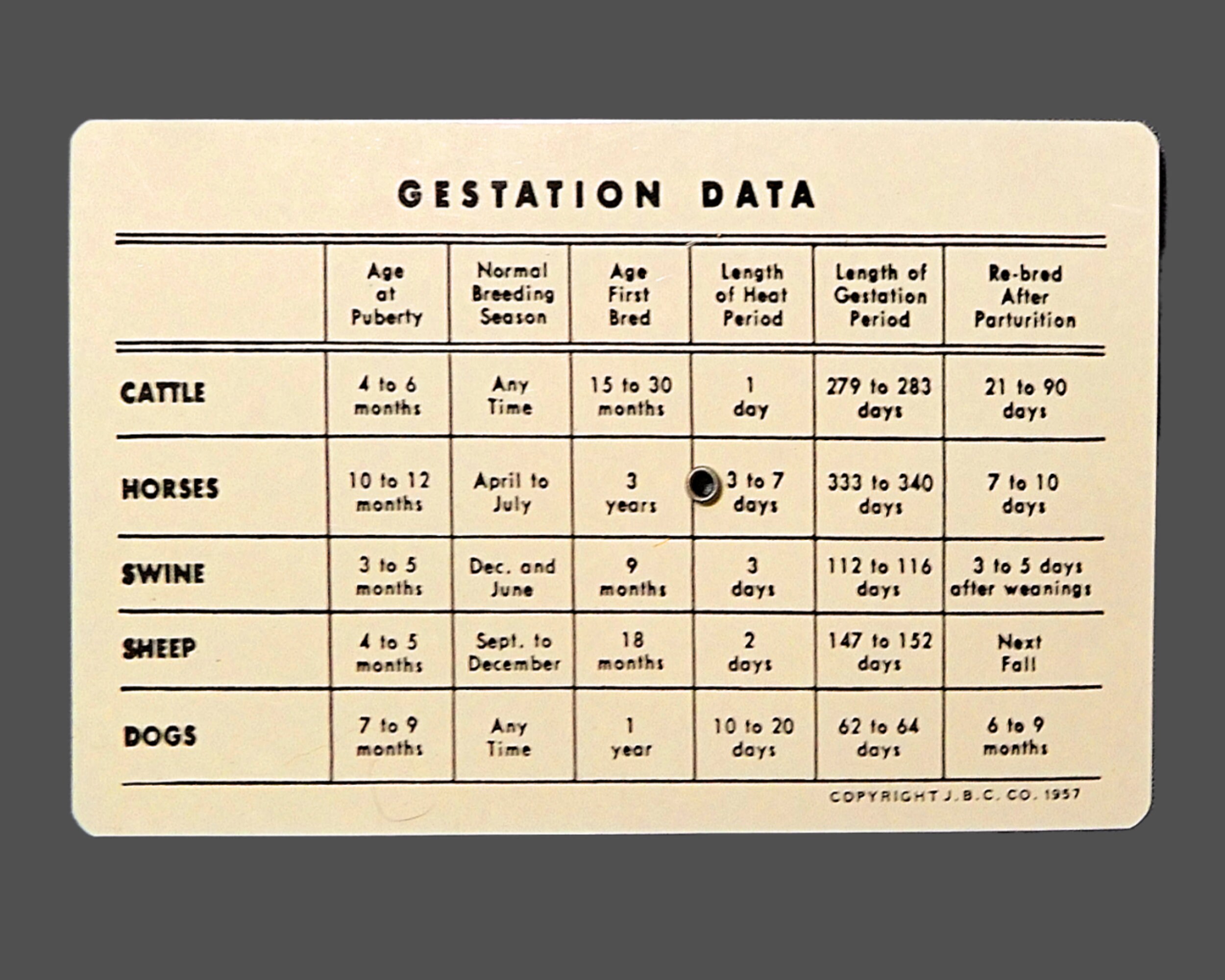 Vintage Advertising Breeding Gestation Calculator for Animals Cow Swine ...
