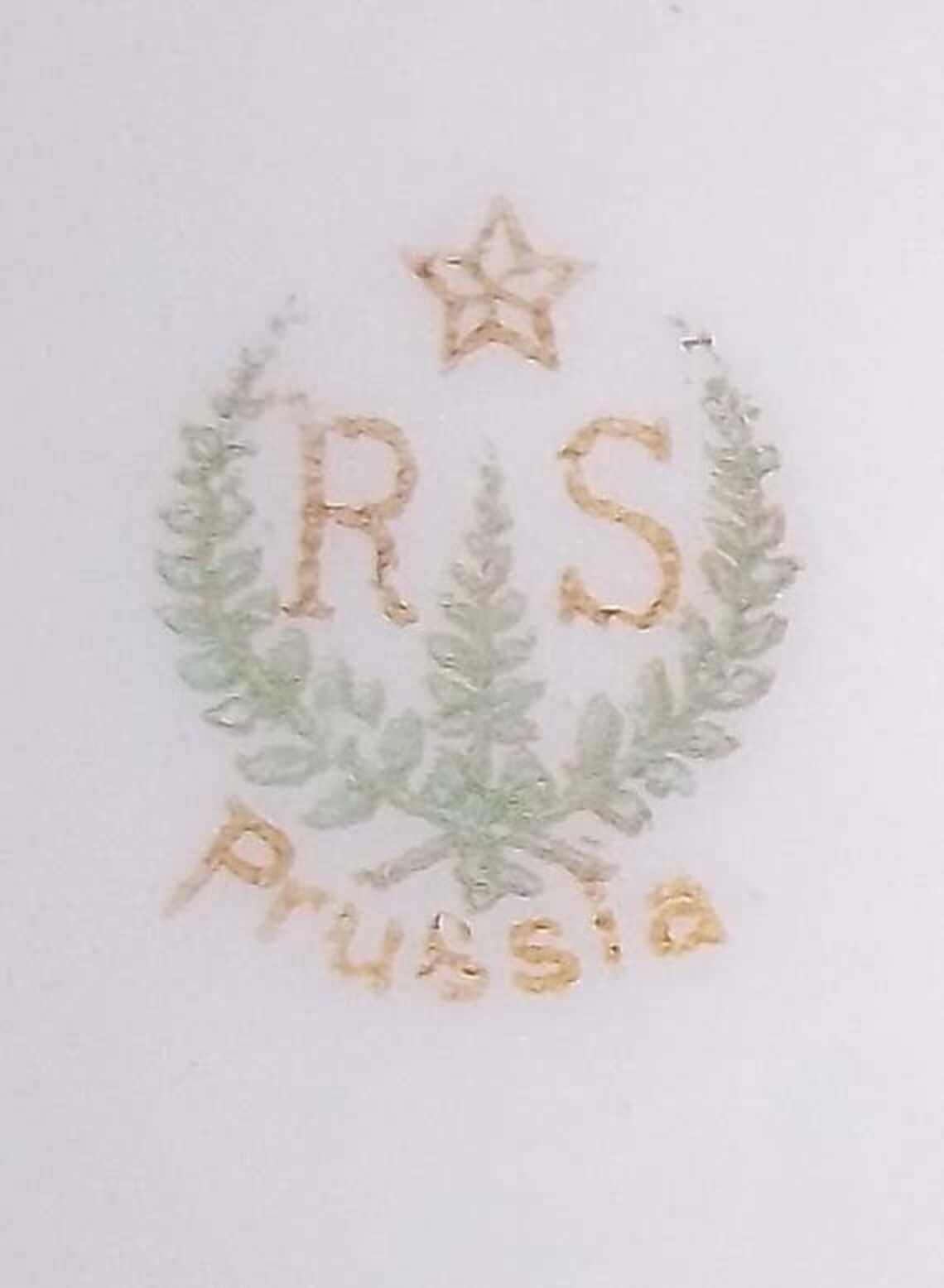 Vintage RS Prussia Ornate 8-1/2 Plate Roses and - Etsy