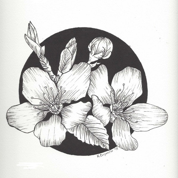 Original Pen and Ink Drawings - Etsy